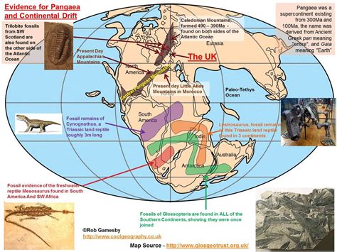 Fossil Evidence Supporting Pangaea Not Just Laurasia And By