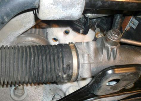 Enrique De La Hoz Edelahozuah Twitter