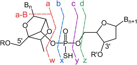 Unveiling The Intricacy Of Gapmer Oligonucleotides Through Advanced