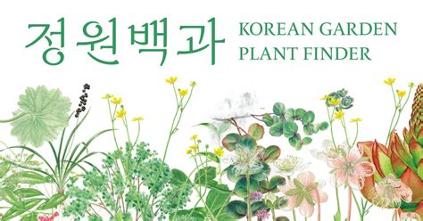 산벚나무 정원백과