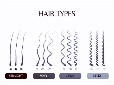 Hair Types In 2025 Type 4 Hair Hair Type Chart Hair Chart