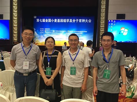 小麦所科研人员参加第七届全国小麦基因组学及分子育种大会 新闻报道 绵阳市农业科学研究院