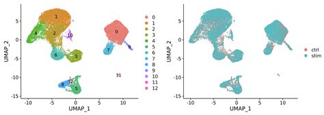 Cell Type Identification Bioinformatics Education And Services At Tufts
