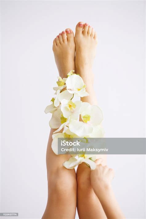 페디큐어 절차에 스파 살롱에서 여성 피트의 사진 닫기 최대 가꿔주기에 대한 스톡 사진 및 기타 이미지 가꿔주기 갈색 꽃 식물 Istock