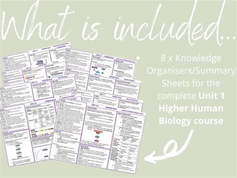 Unit 1 Of Higher Human Biology 8 X Knowledge Organisers Summary Sheets Teaching Resources