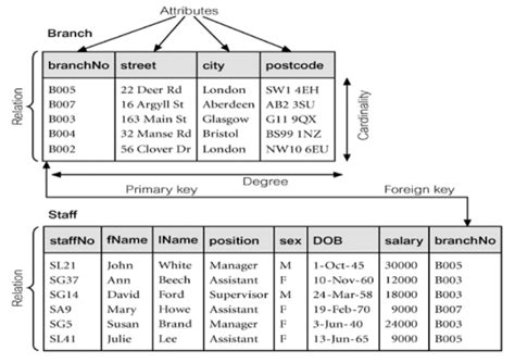Pengertian Basis Data Pengartian Basis Data Entitas Atribut Dan Relational Beserta Contohnya
