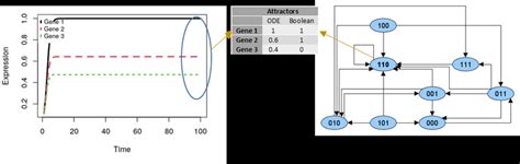 A Dynamical Models Of Gene Regulatory Networks Represented As A