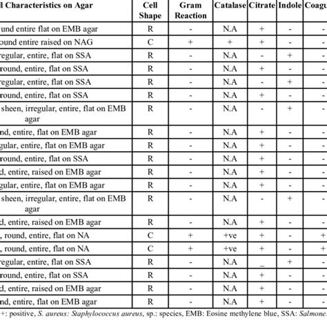 Bacteria Isolation And Biochemical Characterization Of Bacteria From