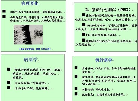 仔猪腹泻性疾病的防控