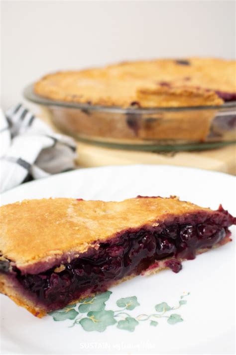 Mixed Berry Pie Recipe With Frozen Berries Sustain My Cooking Habit