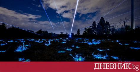 Фотогалерия Sofia Lights осветява парк Врана за трета поредна година