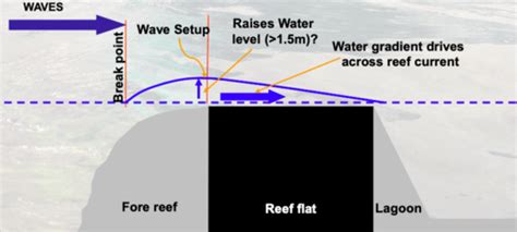 Reef Hydrodynamics Flashcards Quizlet