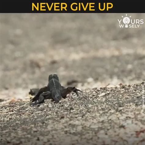 Mohd Ibrahim Posted On Linkedin