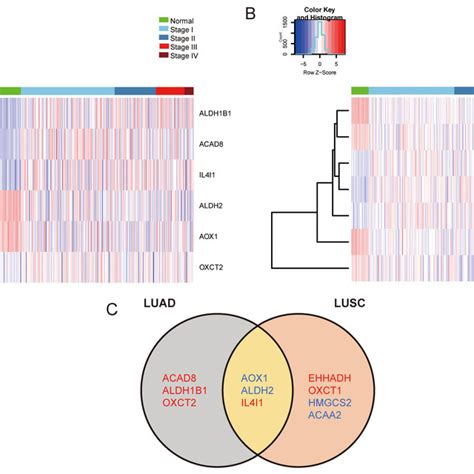Significantly Differentially Expressed Bcaas Catabolism Related Enzymes