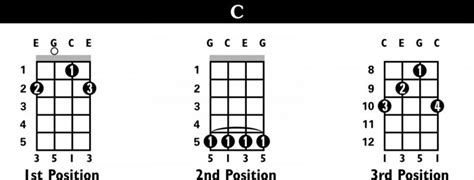 A Guide To Playing 5 String Bluegrass Banjo Chords Fret Expert
