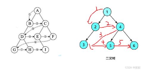 二叉树的链式结构 CSDN博客