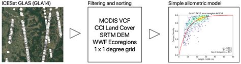 Remote Sensing Free Full Text Exploring The Relationship Between Forest Canopy Height And