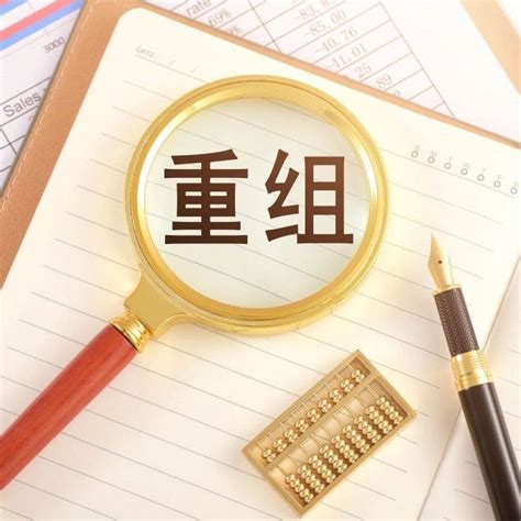 国资委推进央企新公司组建和战略性重组，力促国有经济高质量发展企业中央林庆苗