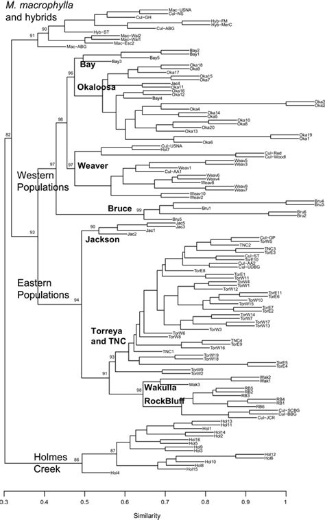 upgma dendrogram showing clustering among all 127 samples based on