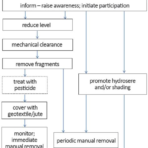 Example Of A Decision Tree For Determining The Appropriate Management Download Scientific