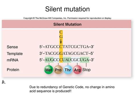 Ppt Mutation And Dna Powerpoint Presentation Free Download Id 1458898