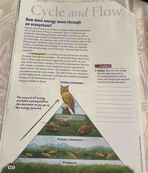 Cycle And Flow How Does Energy Move Through An Ecosystem Energy Enters