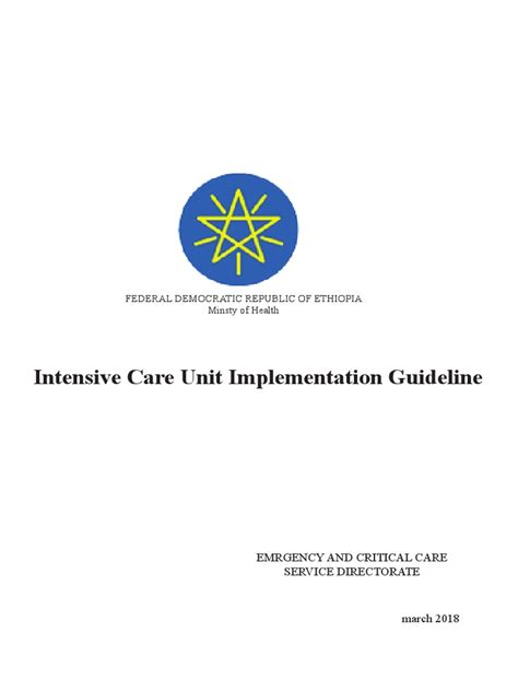 2 Intensive Care Unit Implementation Guideline March 2018 Pdf Intensive Care Medicine