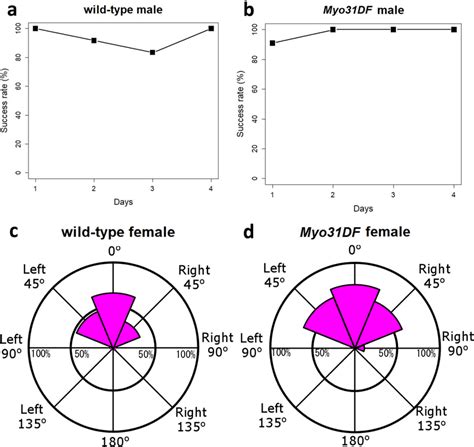 Males With Genitalia Exhibiting Less Angle Deviation Had An Advantage