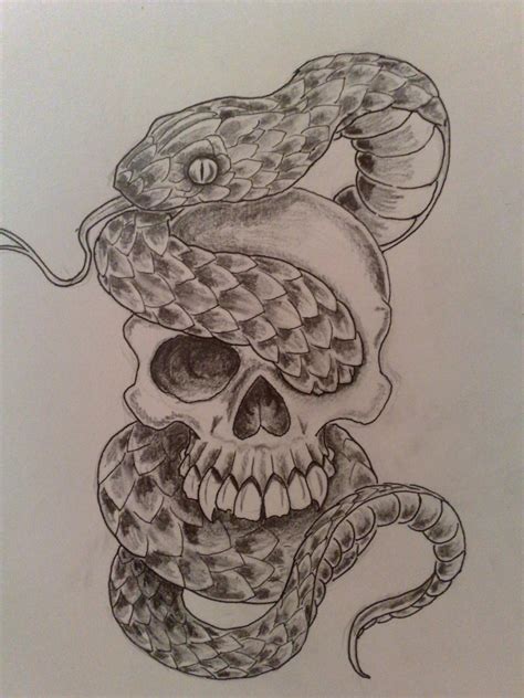 Snake Skeleton Drawing At PaintingValley Com Explore Collection Of Snake Skeleton Drawing