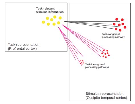 gating framework task information relevant stimulus dimension download scientific diagram