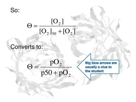 Ppt Protein Function Oxygen Binding Proteins Powerpoint Presentation Id 623479