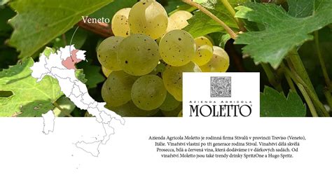 Moletto | Aperittivo.cz