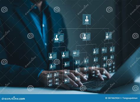 Organization Chart And Hierarchy Structure Employees In The Company With Departments In Business