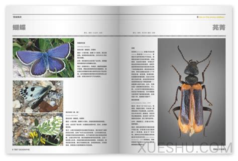 西藏人文地理杂志 学术之家