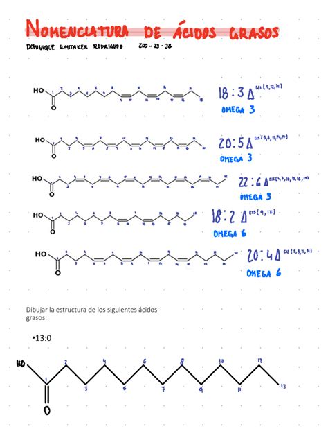 Ejercicio Nomenclatura De ácidos Grasos Nomenclatura De Acidds Grasos