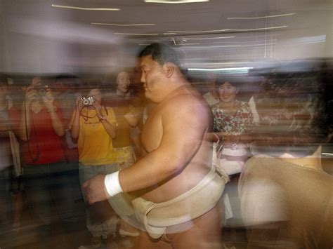 Sumo Photos National Geographic