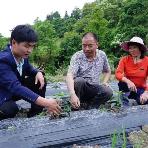 会昌刘林才：扎根乡村 带头致富工作村民石圳村
