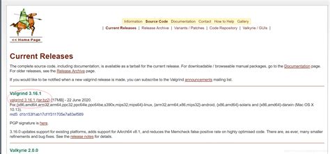 Linux下c编程内存泄漏检测工具valgrind使用c Linux Valgrind Csdn博客