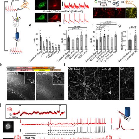 Patterned Illumination Improves Brain Imaging And Minimizes Brain