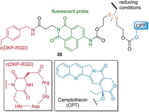 Rgd Peptide‐drug Conjugates As Effective Dual Targeting Platforms