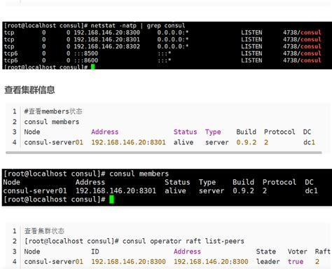 Docker Consul的容器 Csdn博客