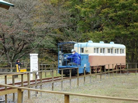 一円電車体験乗車会探検坑道日曜見学会中止のお知らせ 鉱石の道
