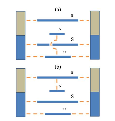 Color Online Schematic Representation Of The Model Used To Reproduce