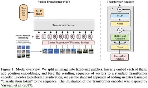PyTorch笔记 - Vision Transformer(ViT)_vision transformer decode-CSDN博客