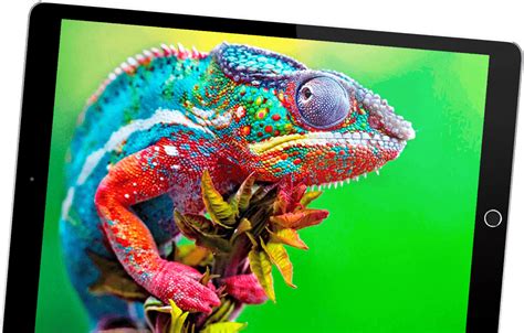Filestack Photo Editor Sdk And Image Transformation Api