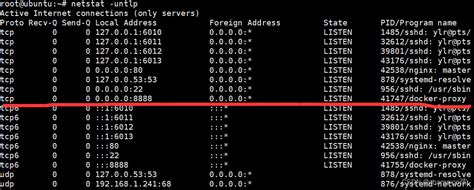 Docker应用与常用命令 Csdn博客