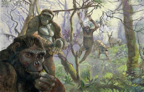 La evolución humana y los cambios sufridos en nuestros antecesores