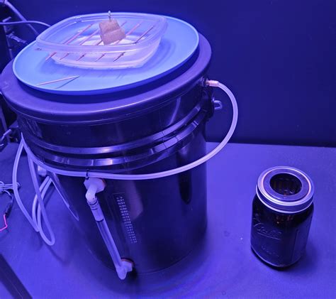 Proper Method Of Germinating The Seeds For Dwcbubbler Set Up Page 2
