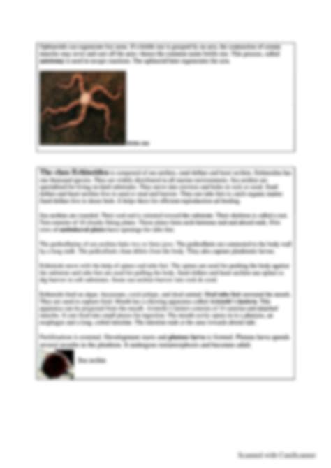 Solution Classification Of Phylum Echinodermata Studypool