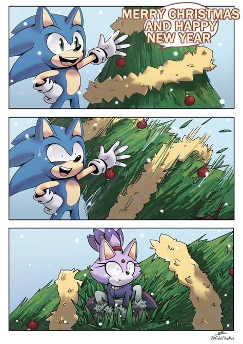 Pin By Terry Middleton On Sonic X Blaze Sonic Sonic Funny Sonic The